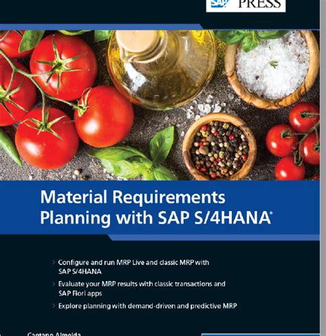 英文版 Sap Press Material Requirements Planning With Sap S4hana 共541页