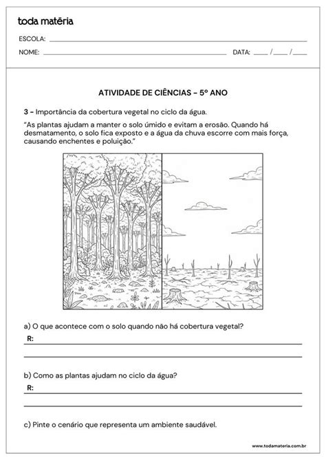 Atividades De Ciências Para O 5º Ano Do Fundamental Para Imprimir