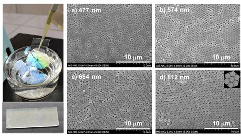 Trapping A Monolayer Of Polystyrene Ps Sub Microspheres On The Download Scientific Diagram