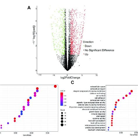 Analysis Of Differentially Expressed Transcripts DETs Between Pre GCs
