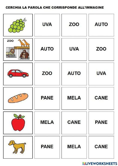Caa Exercise Worksheet Live Worksheets