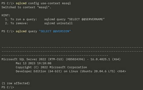 Running Sql Server In A Container With Sqlcmd Dba From The Cold