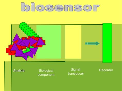 Immunochemical Methods And Biosensors For Pollutants Determination General Principles And