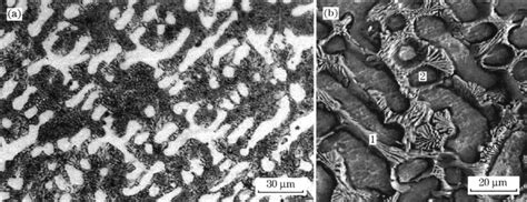 O P T I D Micrograph A And Sem Micrograph B Of Hypoeutectic Download Scientific Diagram