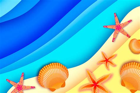 종이 접기 조개 몰 Usc 포탄 종이 컷 아트의 이국적인 파도와 모래 텍스트 여름 세일 특별 한 혜택 포스터 전단지 평면도 가격에 대한 스톡 벡터 아트 및 기타 이미지