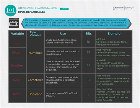Tipos De Variable Apuntes 3 IntroducciÓn A La ProgramaciÓn Nivel 1