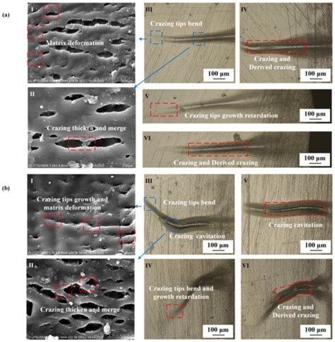 Crazing Initiation And Growth In Polymethyl Methacrylate Under Effects Of Alcohol And Stress