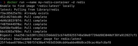 How And Why To Run Redis In Docker WP FixAll