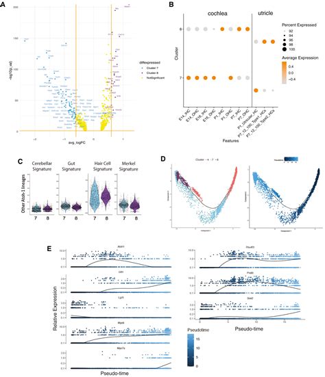 Cochlear Organoids Reveal Transcriptional Programs Of Postnatal Hair Cell Differentiation From