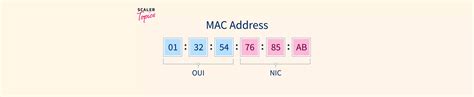 What Is MAC Address Scaler Topics