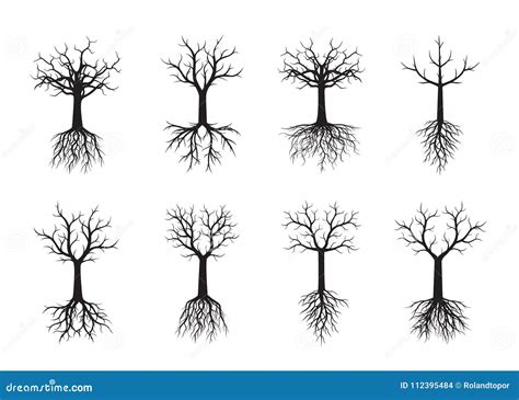 Set Of Naked Trees On White Background Vector Illustration And Concept