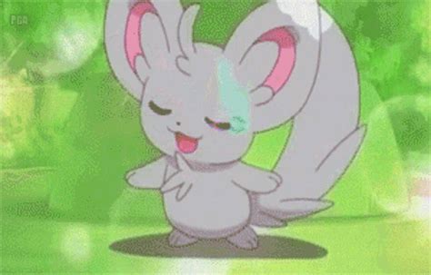 Minccino  Minccino 