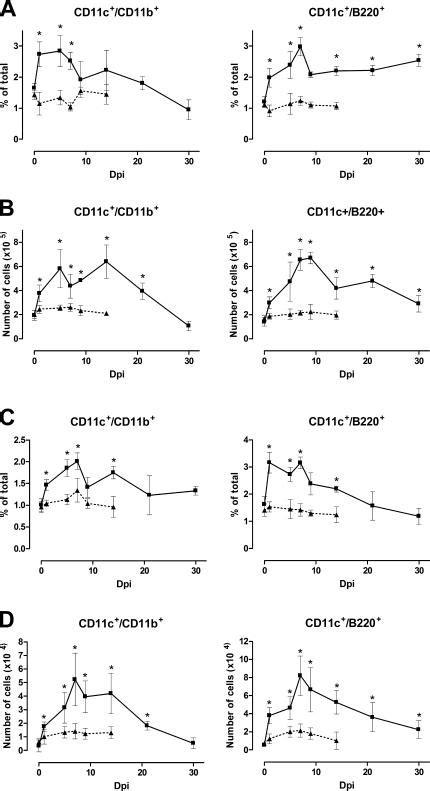 Numbers Of Cdcs And Pdcs In The Lung And The Lung Draining Lymph Nodes Download Scientific