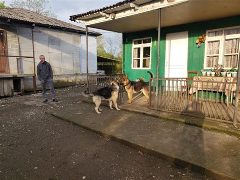 თათები • Tatebi თათები • Tatebi Added A New Photo