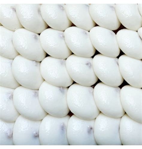제이선 신동주 발효떡 신동주 기정떡 팥앙금 흰떡 발효떡 50개 1박스 롯데백화점 티몬