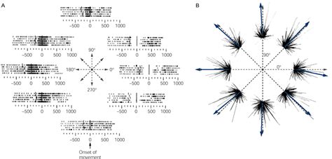 Theoretical Neuroscience How To Read A Neuron Tuning Curve Graph
