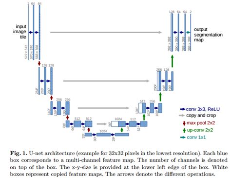 Pytorch U Net를 활용한 X Ray Segmentation 튜토리얼