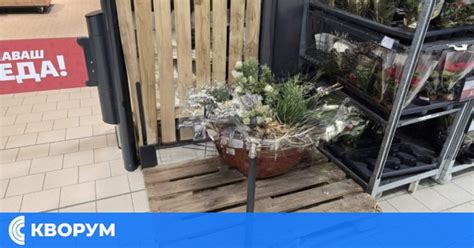 Бойкотът срещу големите търговски вериги не доведе до отлив на клиенти в Силистра Кворум Силистра