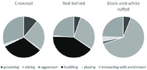 The Percentage Of Time Spent On Each Behaviour During Observation