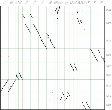 Synteny In Dotplot Disappear In Karyotype Plot · Issue 258 · Tanghaibaojcvi · Github