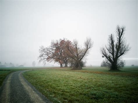 Mastering The Depth Understanding And Calculating The Maximum Depth Of Binary Trees In Php By