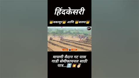 हिंदकेसरी बकासुर आणि बलमा मायनी मैदान गट पास गाडी सेमीफायनल साठी पात्र