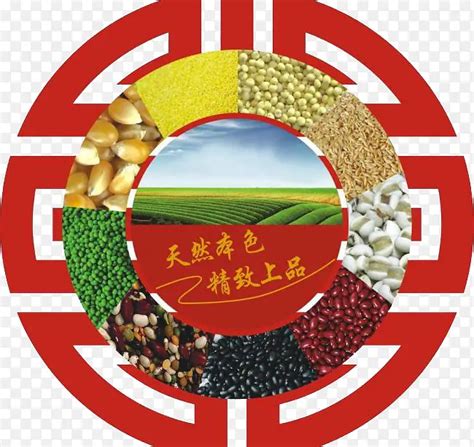 五谷杂粮PNG图片素材下载 图片编号qkvdgpay 免抠素材网