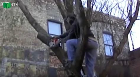 Tree Cutting Fails And Idiots With Chainsaws Fail Compilation Video