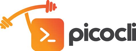 Java 命令行参数解析方式探索（三）：picoclijava冰心的小屋infoq写作社区