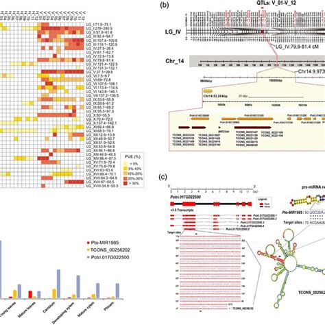 Identification And Annotation Of Quantitative Trait Loci Qtl For Download Scientific Diagram