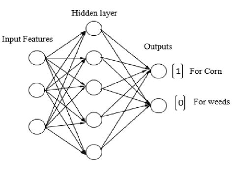 Schematic Topologies Of The Neural Networks Used Download Scientific