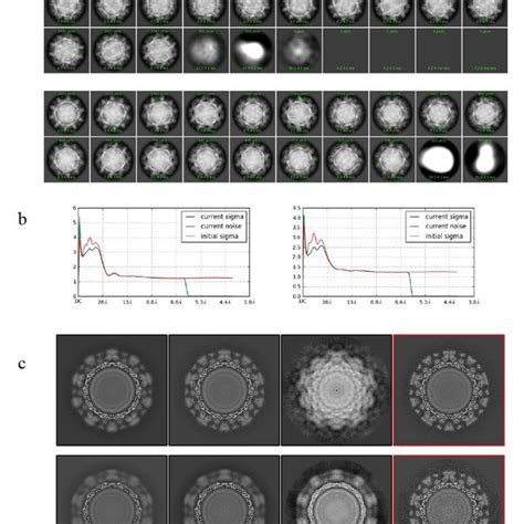 The Result Of The 2d Classification And The 3d Classification A The Download Scientific