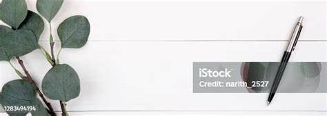 나무 테이블에 잎과 펜 상단 보기와 구성 분기 및 복사 공간 텍스처 배경 단풍 열대 아무도 평면 누워 최소한의 개념 배너 웹 사이트와 나무 책상에 나뭇잎 0명에 대한 스톡