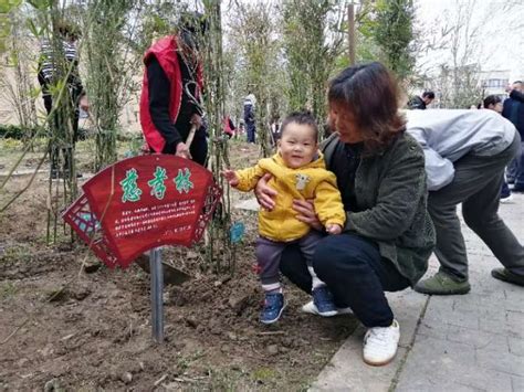 慈母桥村种下慈孝竹 这里将打造青少年慈孝文化教育基地 腾讯新闻