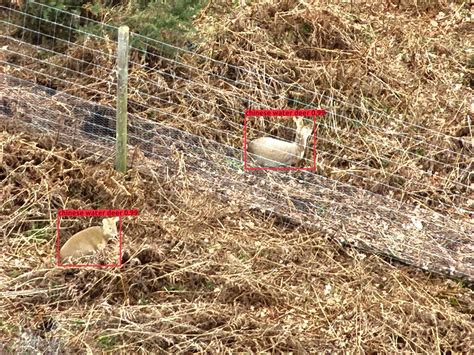 Projects Addax Data Science