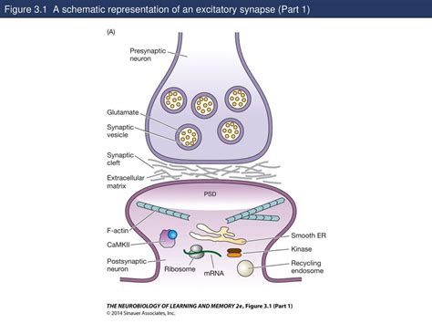Chapter 3 Opener Ppt Download