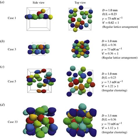 snapshots of bubbles showing typical clustering morphologies from the