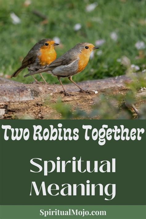 Two Robins Together Spiritual Meaning Omen Of Renewal Spiritual Meaning Spirituality Meant
