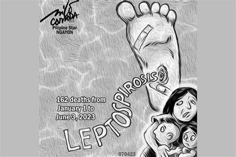 Editoryal — Tumataas Na Kaso Ng Leptospirosis Pilipino Star Ngayon