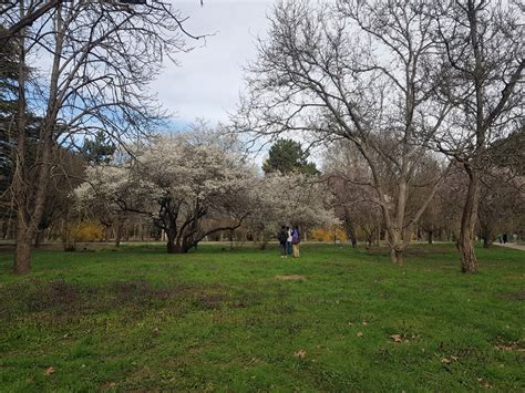 Семь причин посетить Гагаринский парк в Симферополе Жизнь в Крыму с Анной Карпенко Дзен