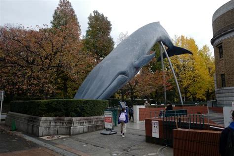 Cdjapan Tokyos Anime Movie Real Life Locations