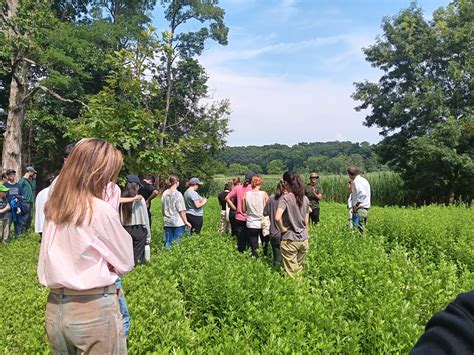 Reviving Nature In The City Lessons From Urban Green Space Restoration