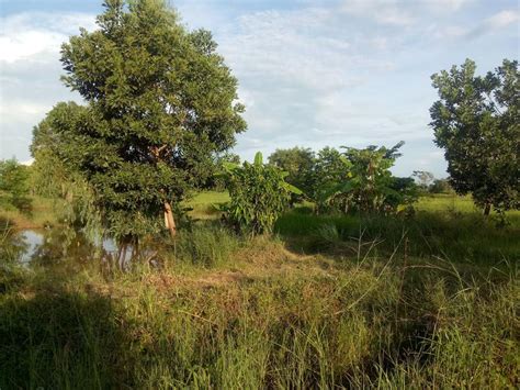 ที่ดินติดริมคลอง อำเภอธาตุพนม จังหวัดนครพนม Ennxo