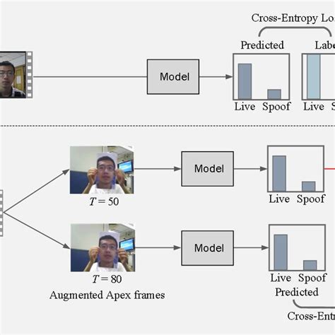 A Schematic Diagram Of Our Proposed Semi Supervised Learning