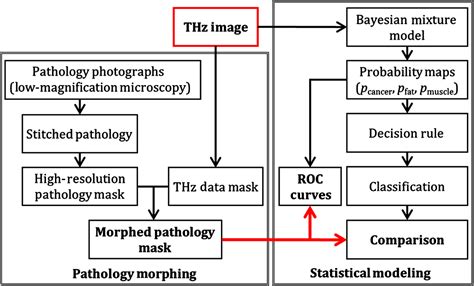 Pulsed Terahertz Imaging Of Breast Cancer In Freshly Excised Murine Tumors