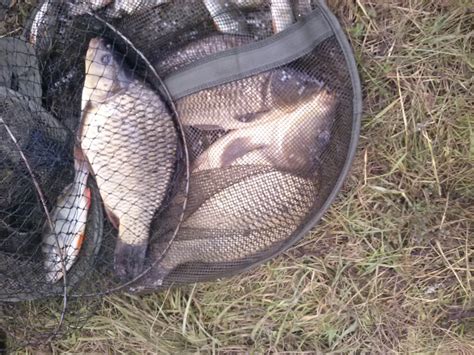 Поездка на рыбалку — Great Wall Hover 2 л 2012 года путешествие Drive2