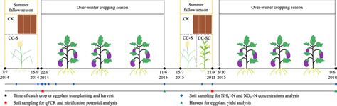 Crop Management And Experimental Set Up In This Study Download Scientific Diagram
