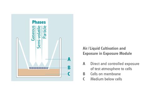 VITROCELL TEM Grid Holders For Dose Determination Of Airborne Particles During In Vitro