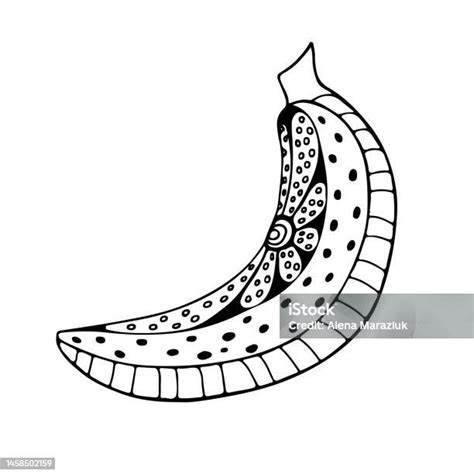 바나나 꽃 흰색 배경에 격리된 낙서 바나나 과일 과일의 추상적인 이미지입니다 벡터 그림 0명에 대한 스톡 벡터 아트 및 기타