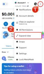 How To Add Cronos EVM To MetaMask Full Setup